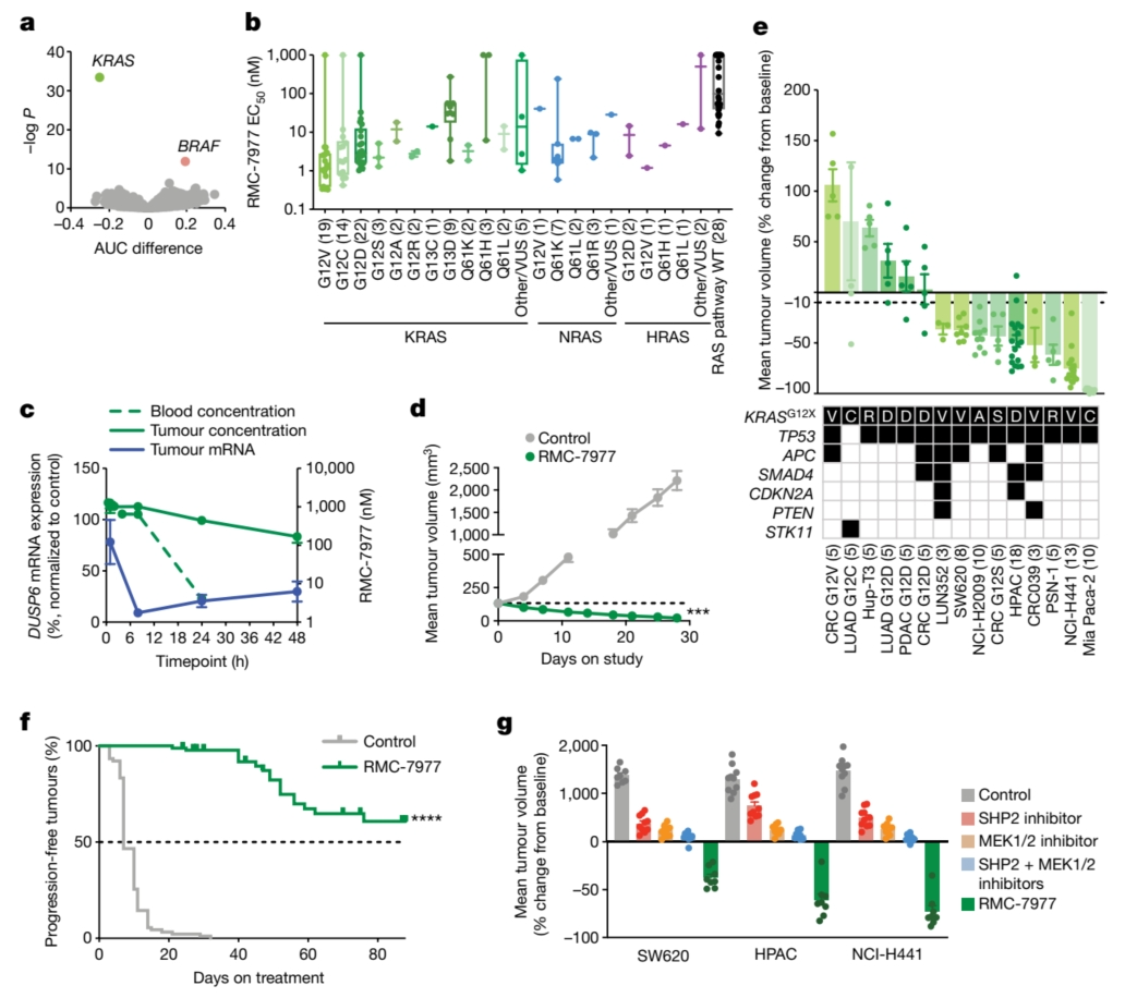 Nature重磅 | 癌症治疗新突破，RMC-7977展现强效RAS活性抑制作用_公司新闻_云舟生物科技（广州）股份有限公司