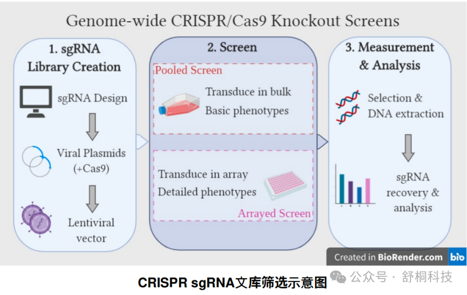 CRISPR screen从sgRNA构建文库到文库细胞筛选的分析内容有哪些？速收藏！（下）-公司新闻-珠海舒桐医疗科技有限公司