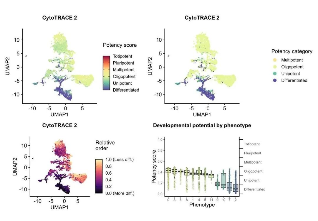 单细胞拟时序分析之CytoTRACE2：解决找不到分化起点的烦恼 - 企业动态 - 丁香通