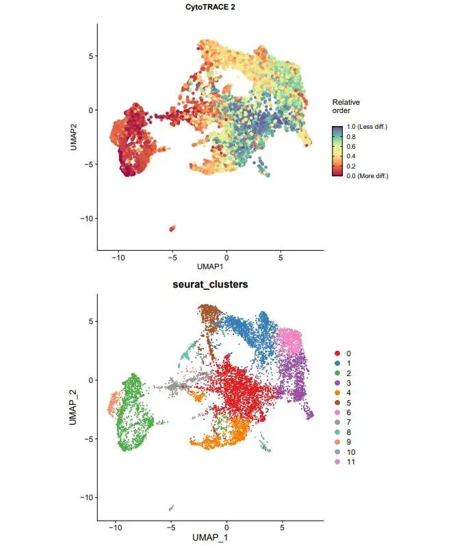 单细胞拟时序分析之CytoTRACE2：解决找不到分化起点的烦恼-公司新闻-上海生物芯片有限公司