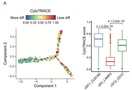 单细胞拟时序分析之CytoTRACE2：解决找不到分化起点的烦恼-公司新闻-上海生物芯片有限公司