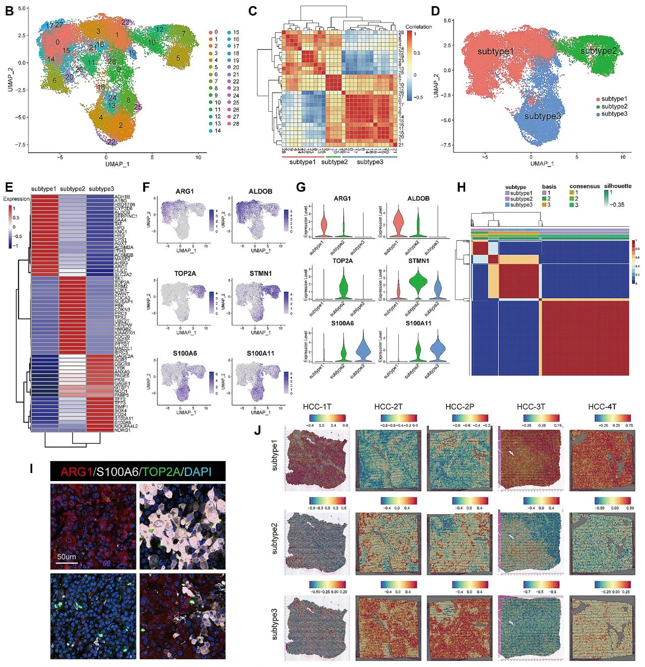 Mol Cancer |【突破性进展】复旦大学黄傲/周俭团队探索肿瘤细胞亚型及其微环境交互，为肝癌治疗带来新希望-公司新闻-上海中科新生命生物 ...