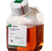 Corning 康宁 35-081-CV 新西兰胎牛血清FBS 500ml价格_品牌:康宁-丁香通