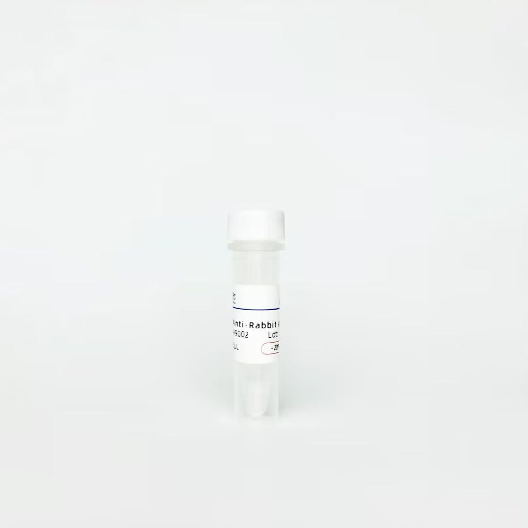 Goat Anti-Rabbit Ab (HRP)价格_品牌:维思克思-丁香通