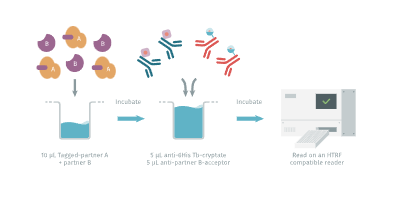 HTRF MAB ANTI-6HIS TB GOLD价格_品牌:瑞孚迪 Revvity-丁香通