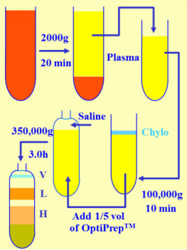 OptiPrep™-理想型密度梯度分离液-公司新闻-深圳欣博盛生物科技有限公司