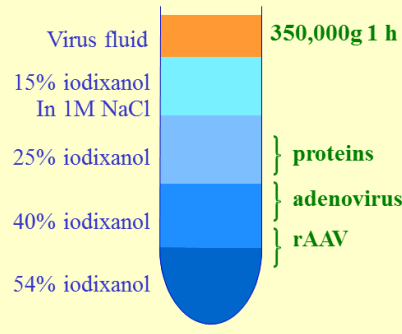OptiPrep™-理想型密度梯度分离液-公司新闻-深圳欣博盛生物科技有限公司