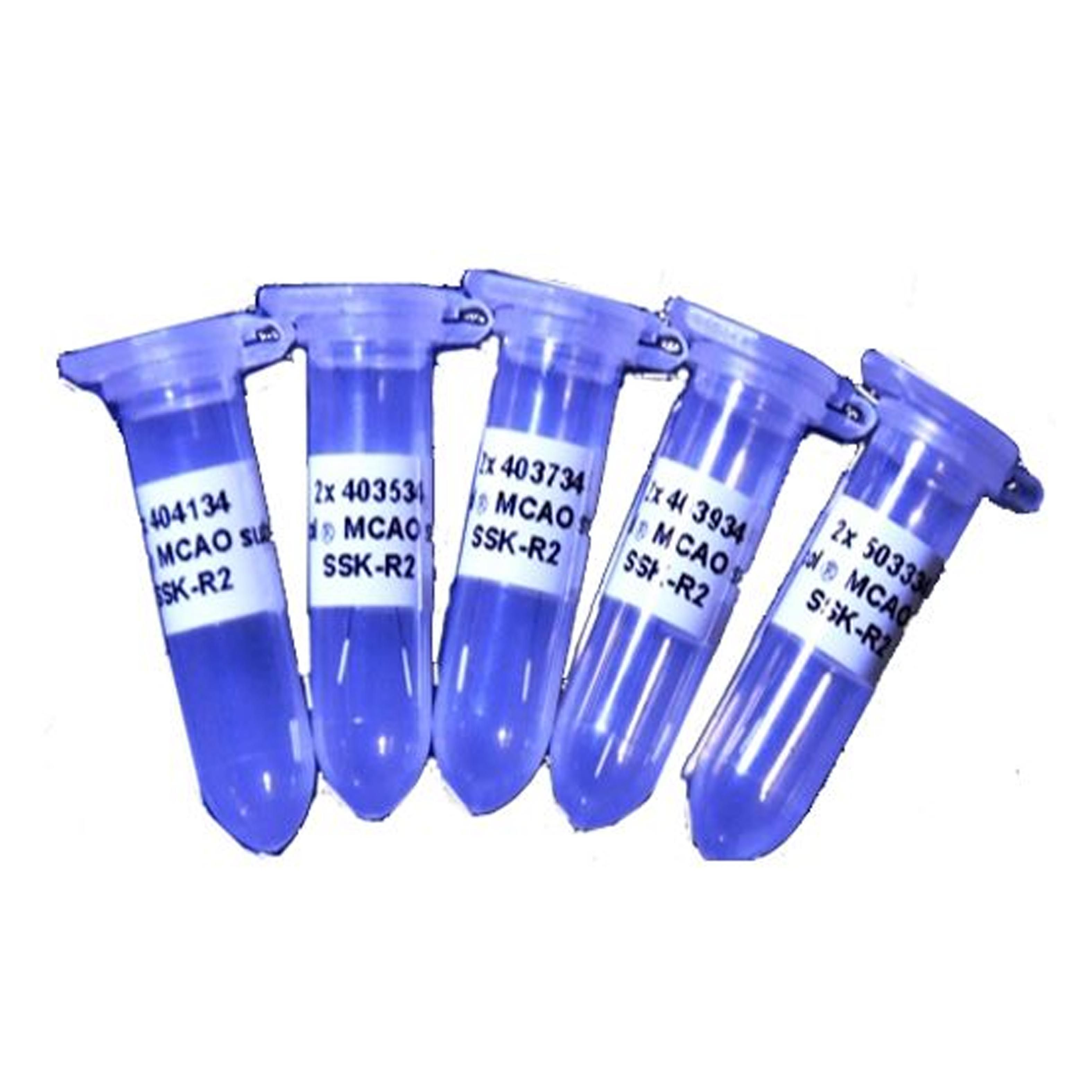 Doccol 602156PK5Re sutures小鼠脑缺血MCAO线栓价格_品牌:Doccol -丁香通