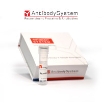 Anti-Human TSHR/LGR3 Antibody (M22)价格_品牌:AntibodySystem-丁香通官网