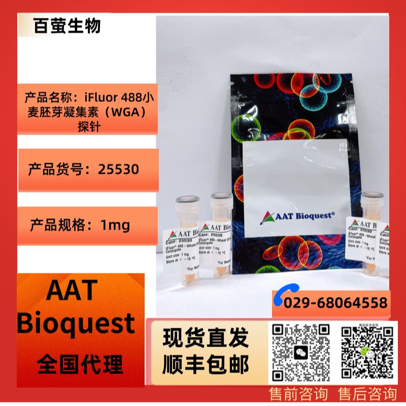 iFluor 488小麦胚芽凝集素（WGA）价格_品牌:AAT Bioquest-丁香通