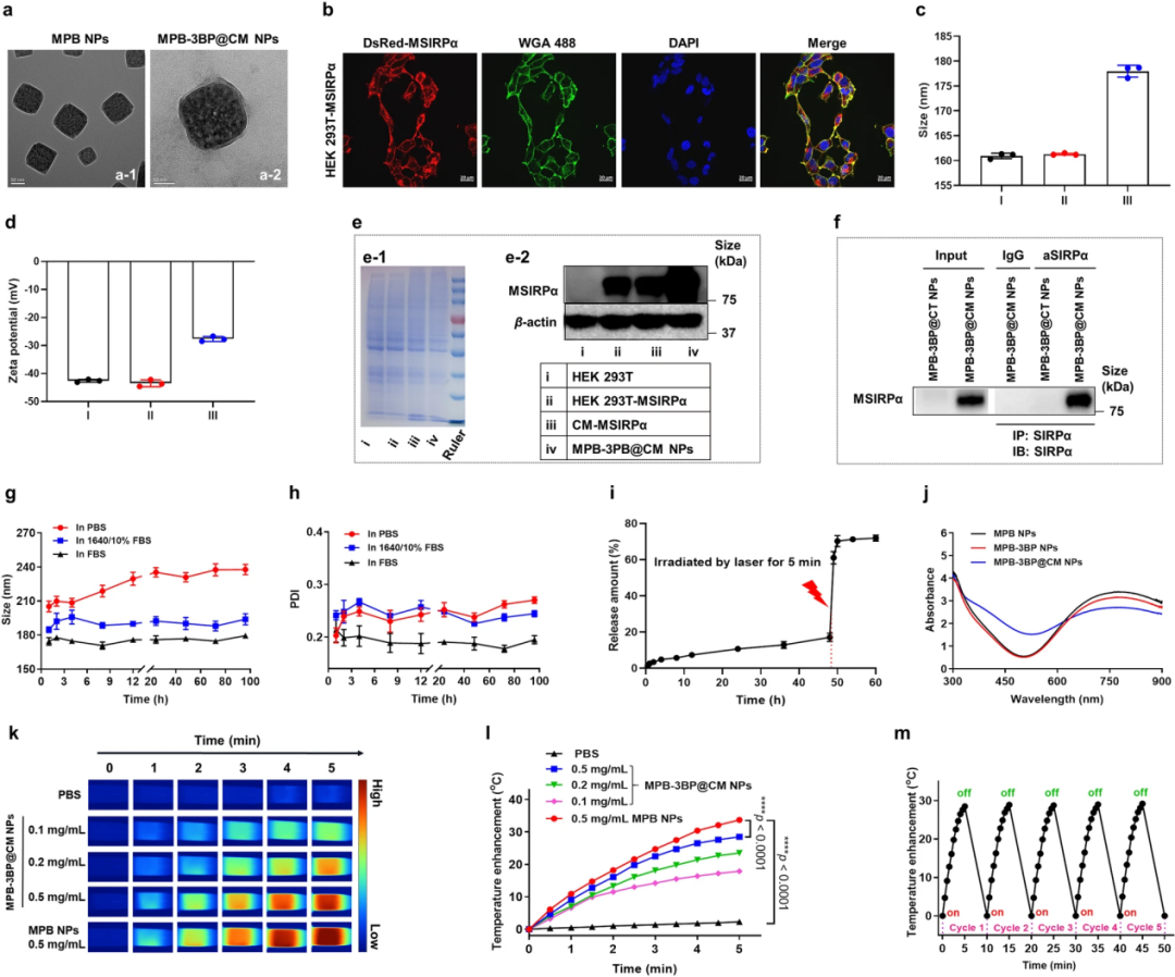 文献解读|基因可编程细胞膜伪装纳米颗粒用于靶向联合治疗结肠直肠癌 生物.医药.天然产物