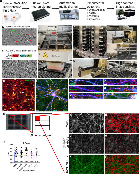 【赛默飞干细胞“飞”凡解读】之iPSC与类器官篇-公司新闻-Gibco PeproTech细胞因子（英潍捷基（上海）贸易有限公司）