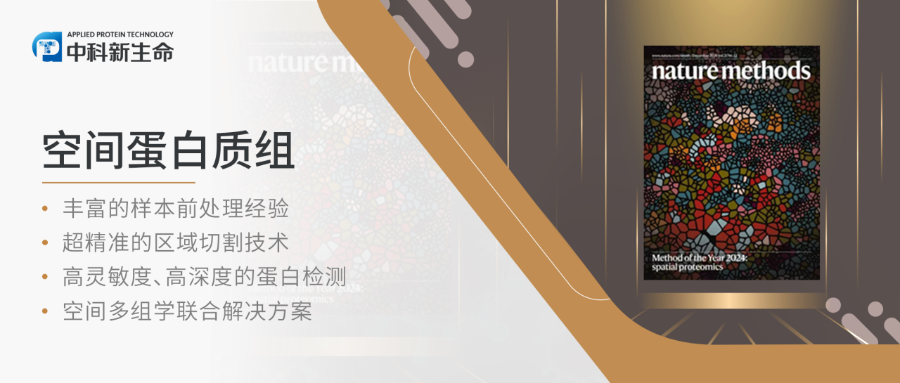空间蛋白质组学：2024年Nature Methods年度技术的璀璨之星-公司新闻-上海中科新生命生物科技有限公司