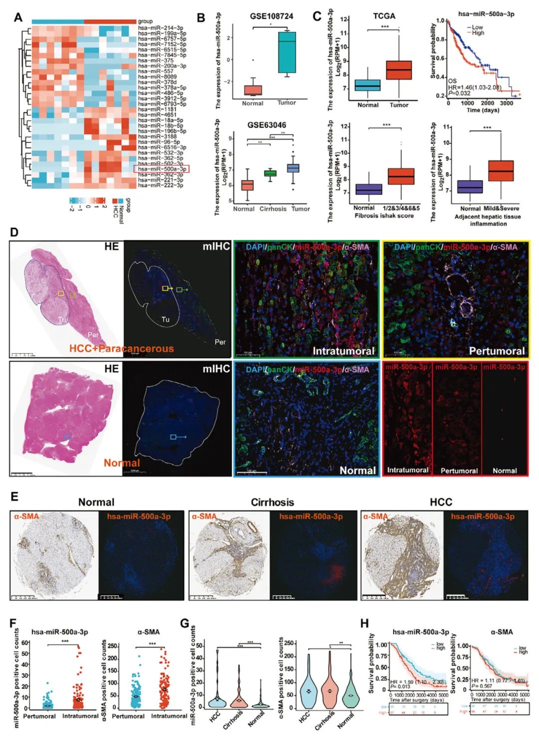 Adv Sci（IF14.3）丨癌细胞来源的外泌体miR-500a-3p调节肝星状细胞活化和免疫抑制微环境-公司新闻-广州市锐博生物科技有限公司