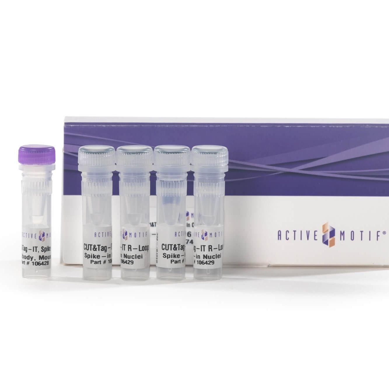 CUT&Tag-IT® Spike-In Control, R-loop 53174价格_品牌:Active Motif-丁香通