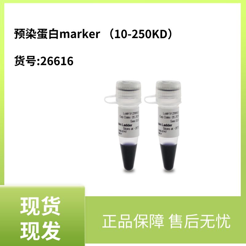 Thermo Fisher：预染蛋白marker （10-180KD） 货号：26616价格_品牌:Thermo Fisher-丁香通