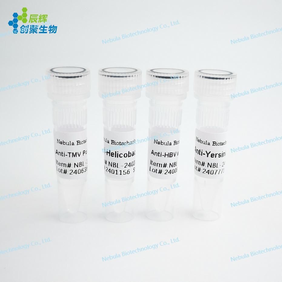 轮状病毒VP6蛋白抗体rotavirus VP6 protein Antibody 货号NBL-240295价格_品牌:辰辉创聚生物-丁香通