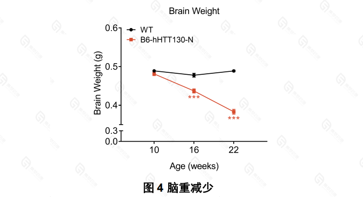 C57BL/6JGpt-Tg(hHTT-CAG130)90/Gpt,小鼠模型资源-江苏集萃药康生物科技股份有限公司