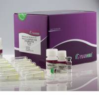 Invitrogen TRIzol Reagent 总RNA提取试剂15596026/15596018价格_品牌:invitrogen-丁香通