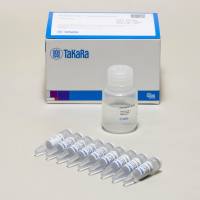 快速PCR聚合酶PrimeSTAR Max DNA Polymerase Ver.2价格_品牌:TaKaRa-丁香通