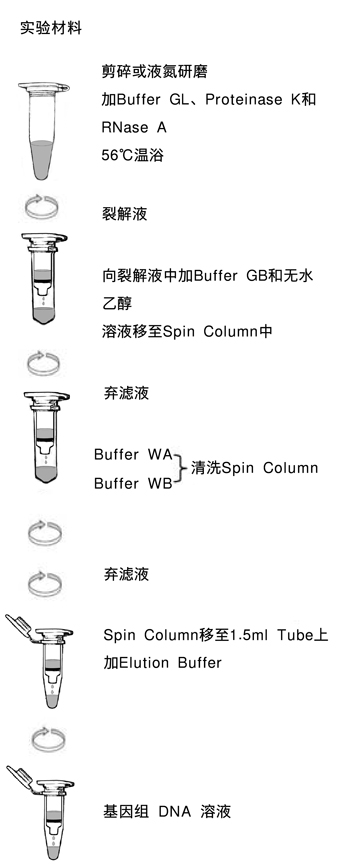 通用型DNA提取试剂盒TaKaRa MiniBEST Universal Genomic DNA Extraction Kit Ver.5.0 ...