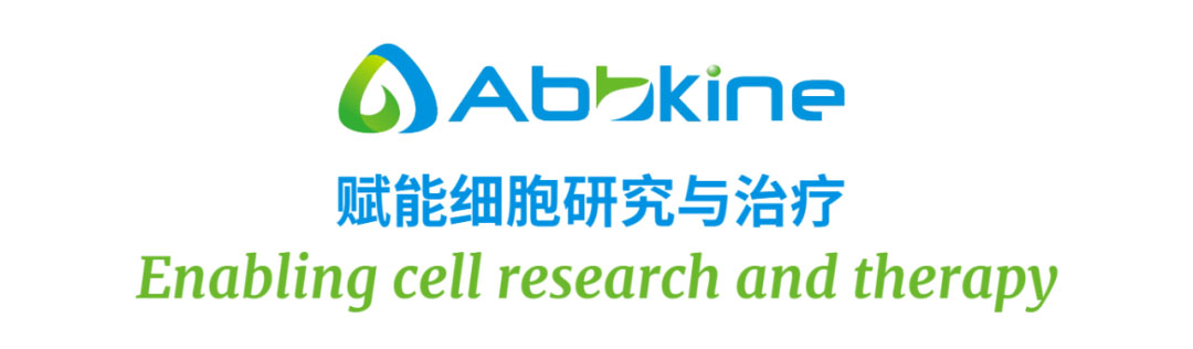 CheKine 脂质过氧化（丙二醛）含量检测试剂盒在食品保鲜研究中的应用_技术资料_亚科因（武汉）生物技术有限公司