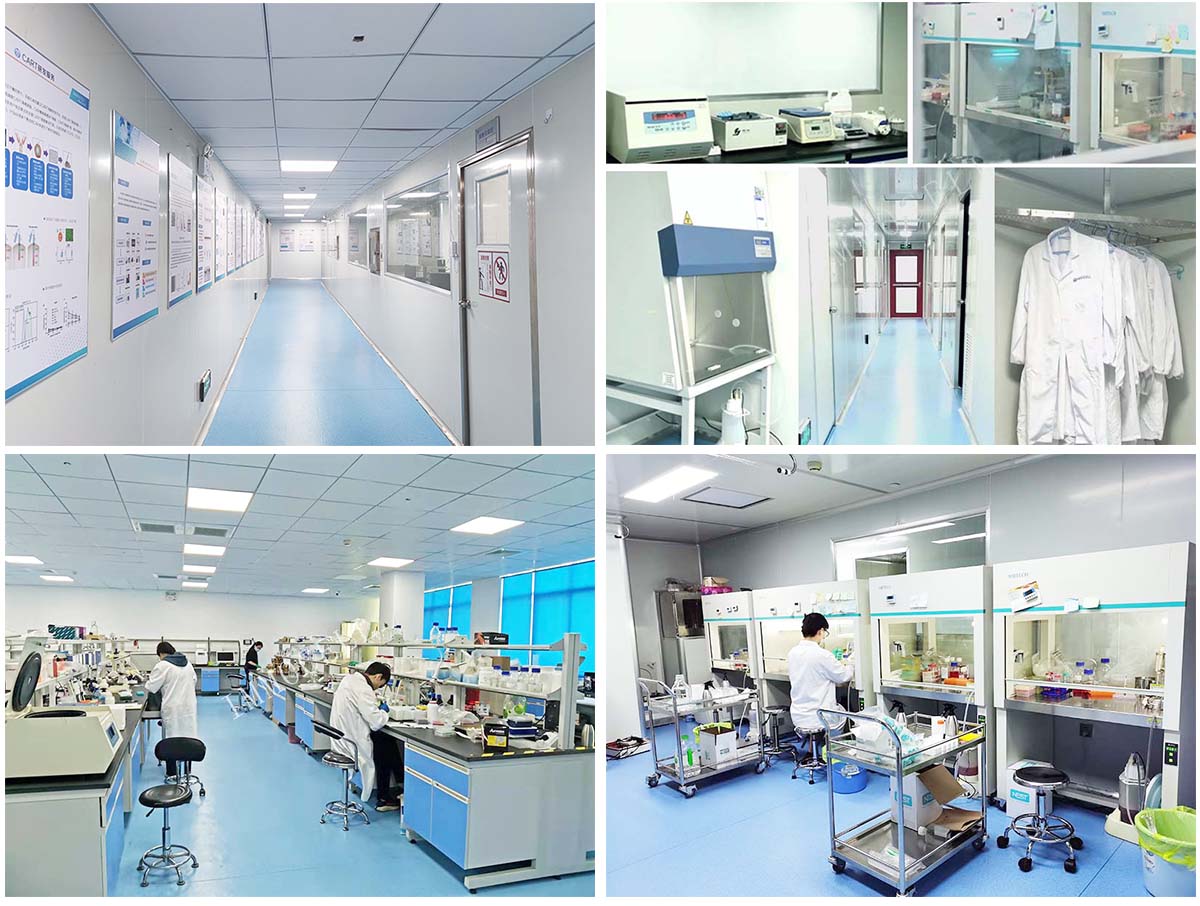 死细胞清除试剂盒价格_品牌:逸漠/IMMOCELL-丁香通