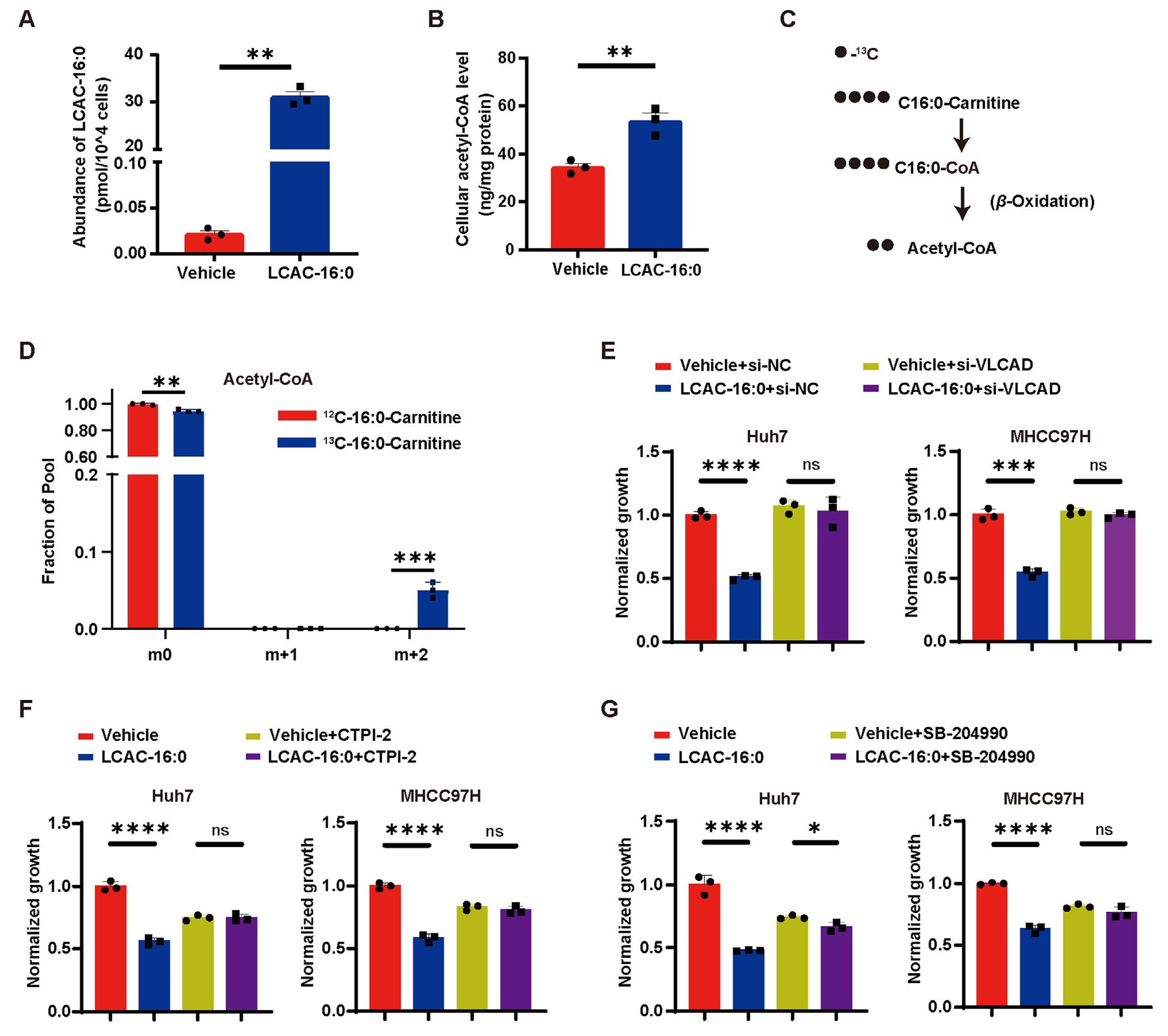 APSB项目文章 | 南方医科大学南方医院等团队发现乙肝患者抵抗肝癌的“隐形盾牌”——长链酰基肉碱-公司新闻-上海中科新生命生物科技有限公司