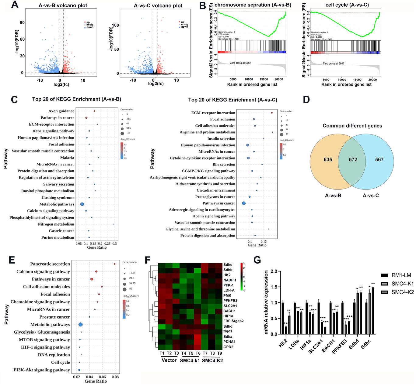 恭喜！最 .新中科院1区Top！IF 14.3的《Advanced Science》已成功发表！-公司新闻-美国LetPub SCI论文编辑