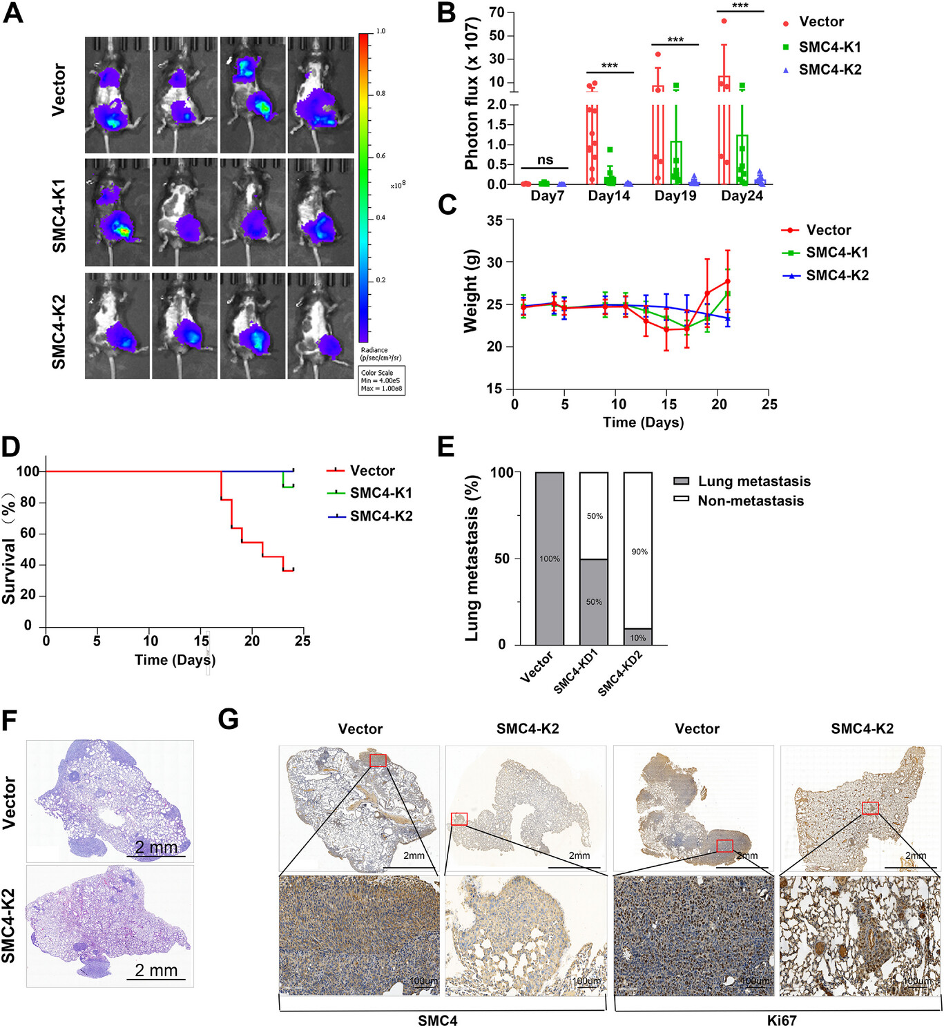 恭喜！最 .新中科院1区Top！IF 14.3的《Advanced Science》已成功发表！-公司新闻-美国LetPub SCI论文编辑