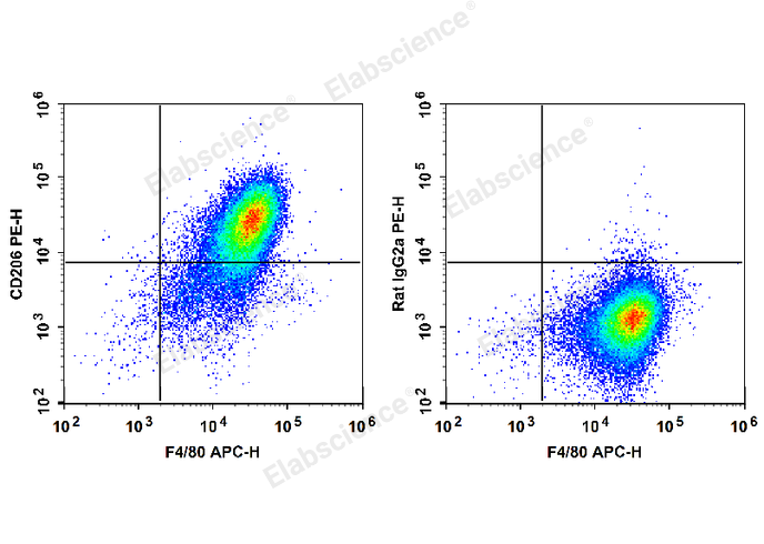 流式实验新选择！Elabscience PE Anti-Mouse CD206抗体，精准识别M2型巨噬细胞-公司新闻-武汉伊莱瑞特生物科技股份有限公司