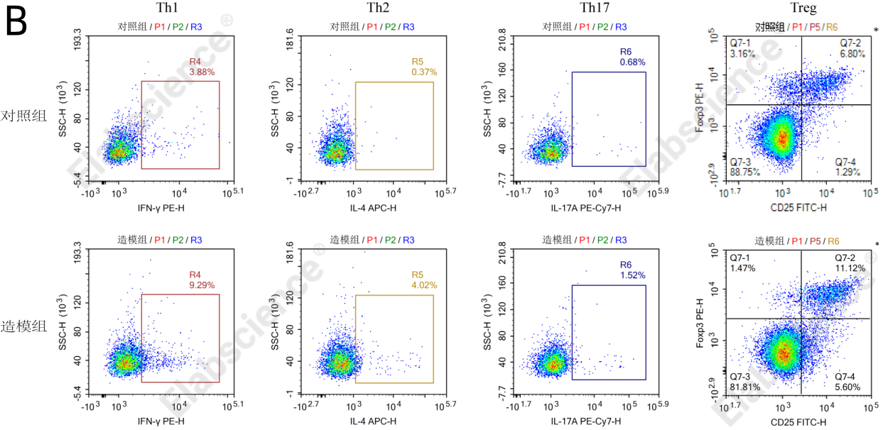 多色流式细胞术精准解析效应 CD4+ T 细胞，Elabscience揭秘 Th1/Th2/Th17/Treg 免疫应答平衡密码 - 企业动态 - 丁香通