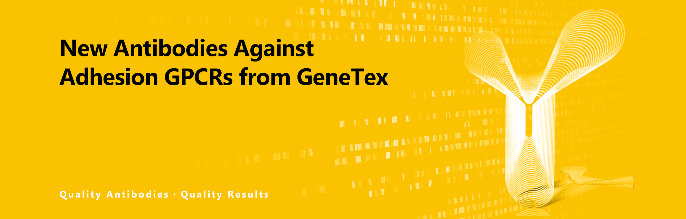 GeneTex 新型黏附 GPCR 抗体-公司新闻-GeneTex