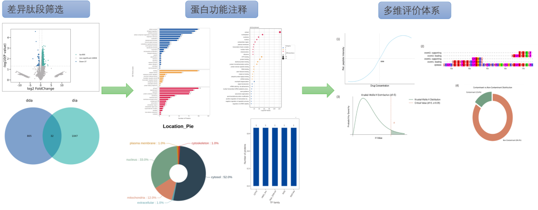 突破结构生物学瓶颈！LIP-MS技术揭秘小分子-蛋白互作新机制-公司新闻-上海吉凯基因医学科技股份有限公司