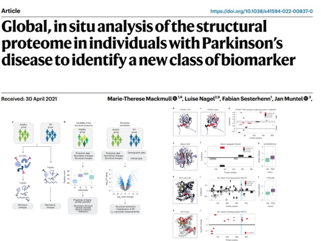 突破结构生物学瓶颈！LIP-MS技术揭秘小分子-蛋白互作新机制-公司新闻-上海吉凯基因医学科技股份有限公司