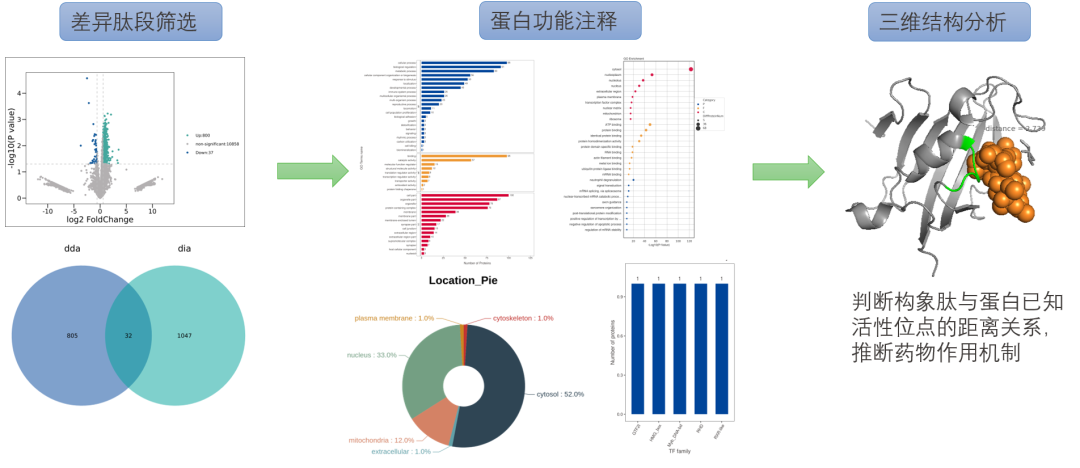 突破结构生物学瓶颈！LIP-MS技术揭秘小分子-蛋白互作新机制-公司新闻-上海吉凯基因医学科技股份有限公司