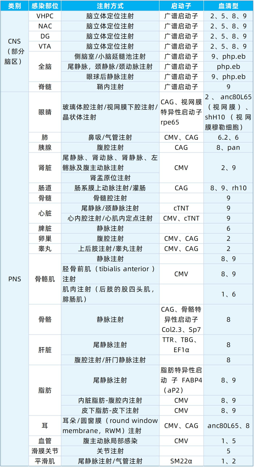 【新手指南】一文教会你如何选择合适的AAV血清型！——技术详解武汉枢密脑科学技术有限公司