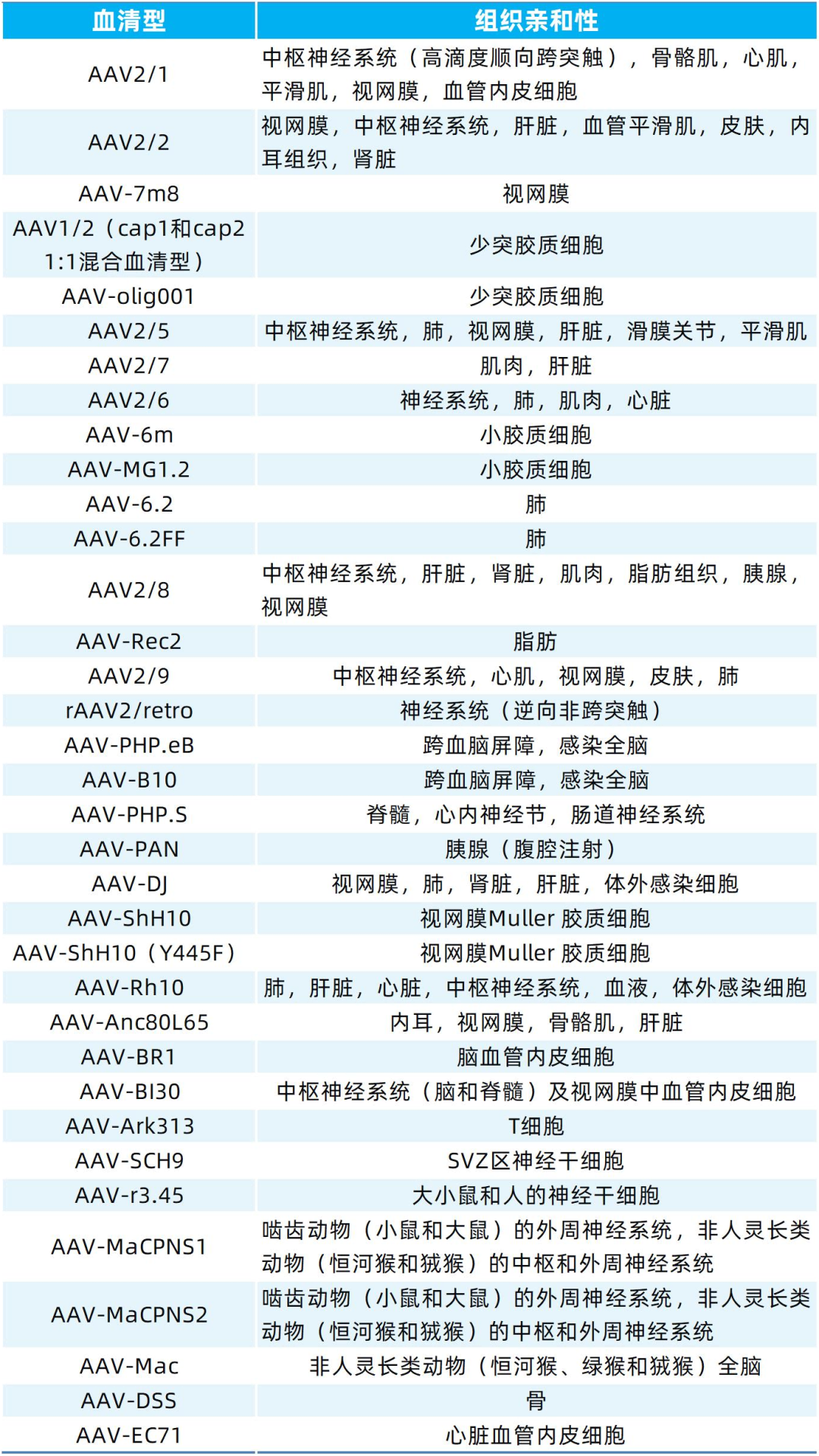 【新手指南】一文教会你如何选择合适的AAV血清型！——技术详解武汉枢密脑科学技术有限公司
