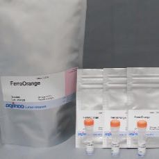 二价铁离子检测探针—FerroOrange 同仁 F374价格_品牌:dojindo 同仁-丁香通