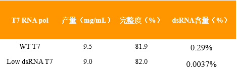 革新 mRNA 应用：T7 RNA 共转录试剂盒，开启高效、安全、便捷新篇-公司新闻-翌圣生物科技（上海）股份有限公司