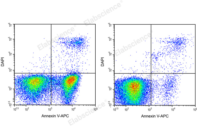 Elabscience Annexin V-APC/DAPI 细胞凋亡检测试剂盒：精准解析细胞凋亡的得力助手-公司新闻-武汉伊莱瑞特生物科技股份有限公司