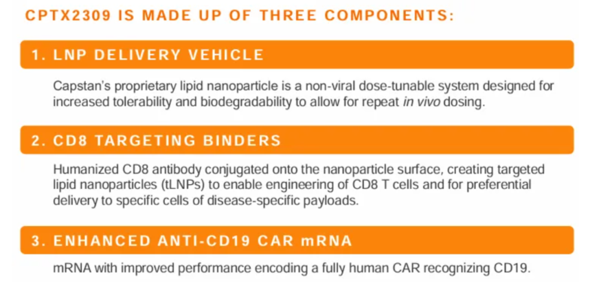 LNP-CD8现货: 90%抗体偶联阳性率助力In Vivo CAR-T治疗-公司新闻-苏州左旋星生物科技有限公司