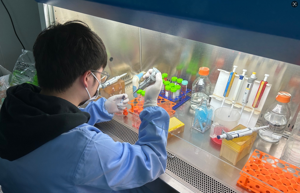 3468篇SCI背后的细胞暗物质：iCell用户年均“榨出”1个Nature级发现！-公司新闻-镜像绮点（上海）细胞技术有限公司