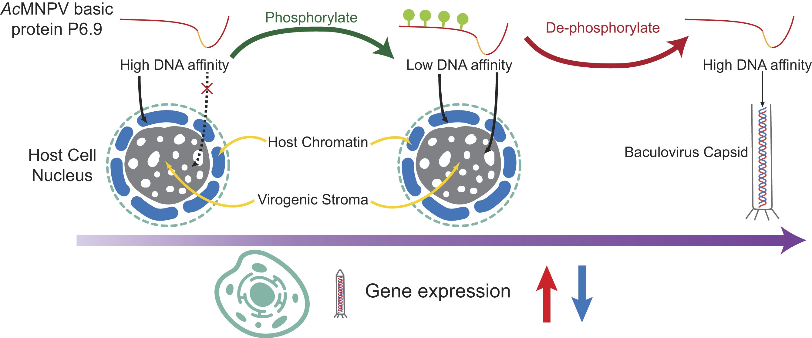 BMG LABTECH多功能酶标仪文献分享20250721-公司新闻-广州进科驰安科技有限公司
