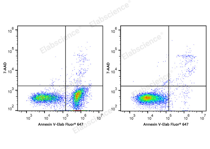 精准解析细胞凋亡！Elabscience Annexin V-Elab Fluor® 647/7-AAD 检测试剂盒，科研利器来袭-公司新闻-武汉伊莱瑞特生物科技股份有限公司