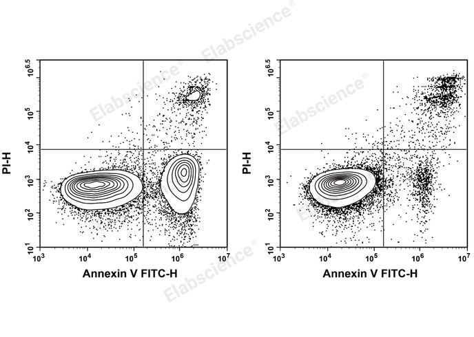 药物筛选利器！Elabscience Annexin V-FITC / PI细胞凋亡检测试剂盒让实验更高效