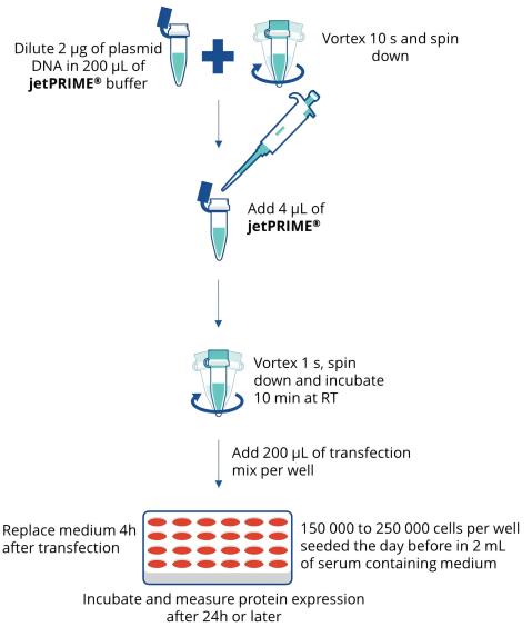 Polyplus 101000046 jetPRIME® 通用型DNA/siRNA 转染试剂（114-15）价格_品牌:Polyplus-丁香通