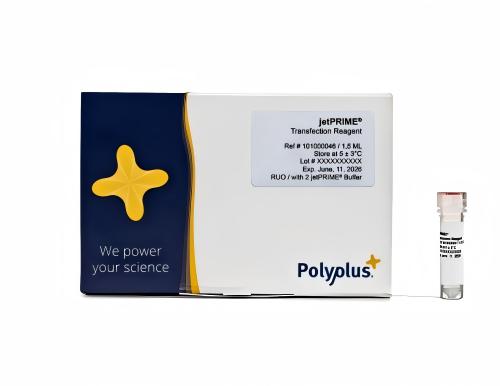 Polyplus 101000046 jetPRIME® 通用型DNA/siRNA 转染试剂（114-15）价格_品牌:Polyplus-丁香通