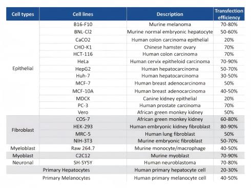 Polyplus 101000046 jetPRIME® 通用型DNA/siRNA 转染试剂（114-15）价格_品牌:Polyplus-丁香通