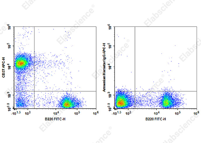 Elabscience APC 标记抗小鼠 CD27 抗体[LG.3A10]上新，多色标记兼容，实验更高效！-公司新闻-武汉伊莱瑞特生物科技 ...